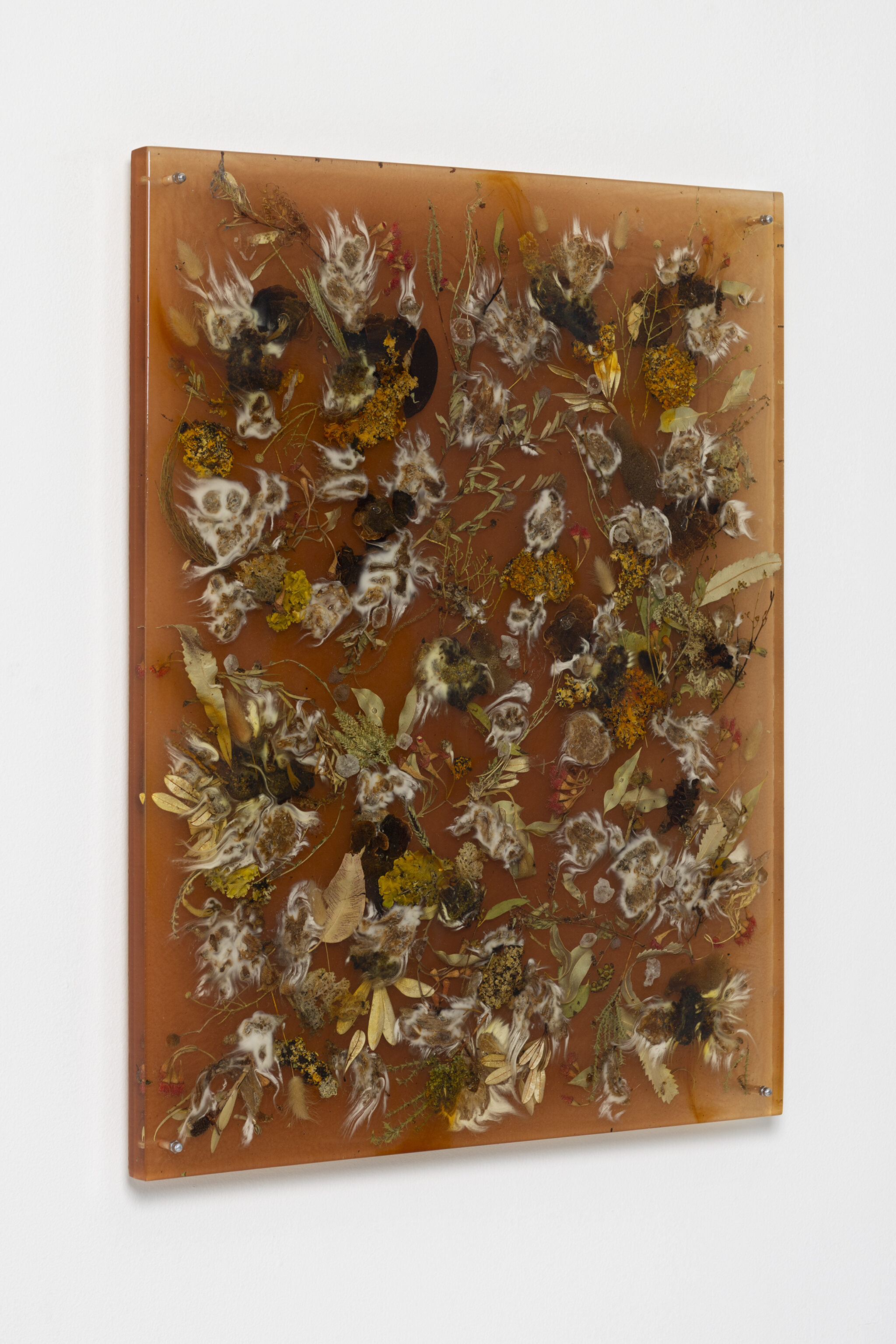 Gether Contemporary — Exhibition "BLOOM" by Uwe Henneken, Sophie Varin ...