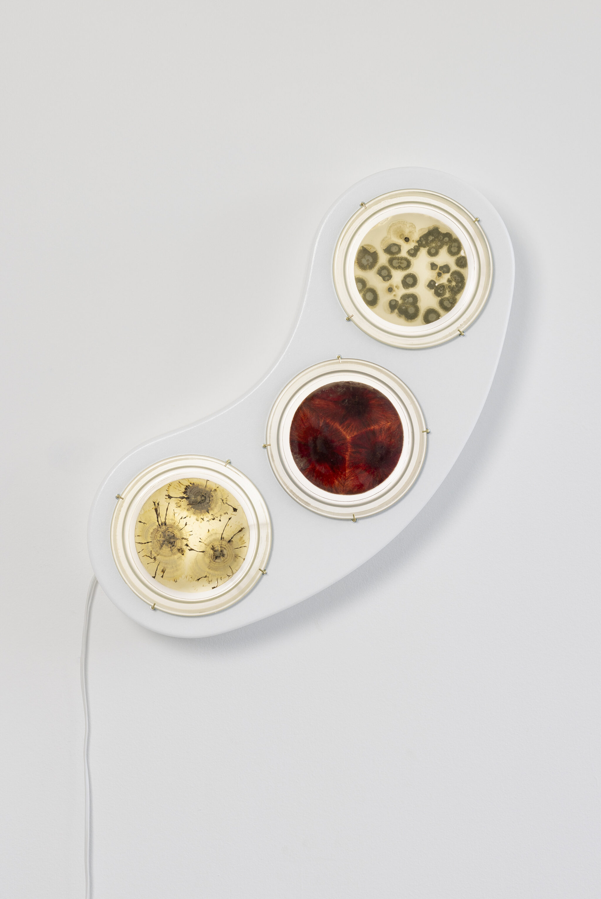 Gether Contemporary — Rhoda Ting & Mikkel Bojesen